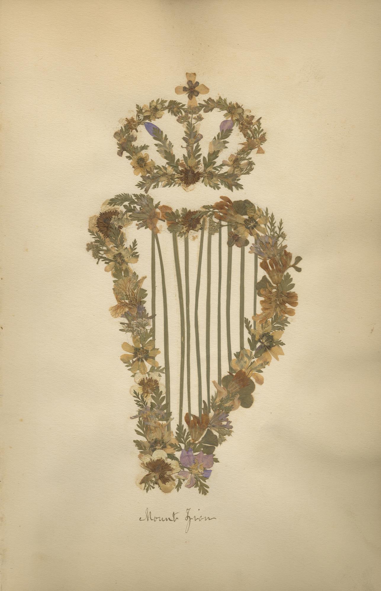 Pressed Flowers Album – Jerusalem, 1871 – Rare Flower Arrangements ...